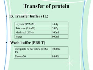 SDS-PAGE and Western blotting | PPTX