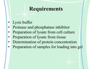 SDS-PAGE and Western blotting | PPTX