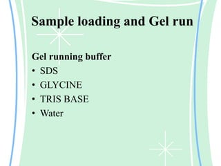 SDS-PAGE and Western blotting | PPTX