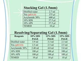 SDS-PAGE and Western blotting | PPTX
