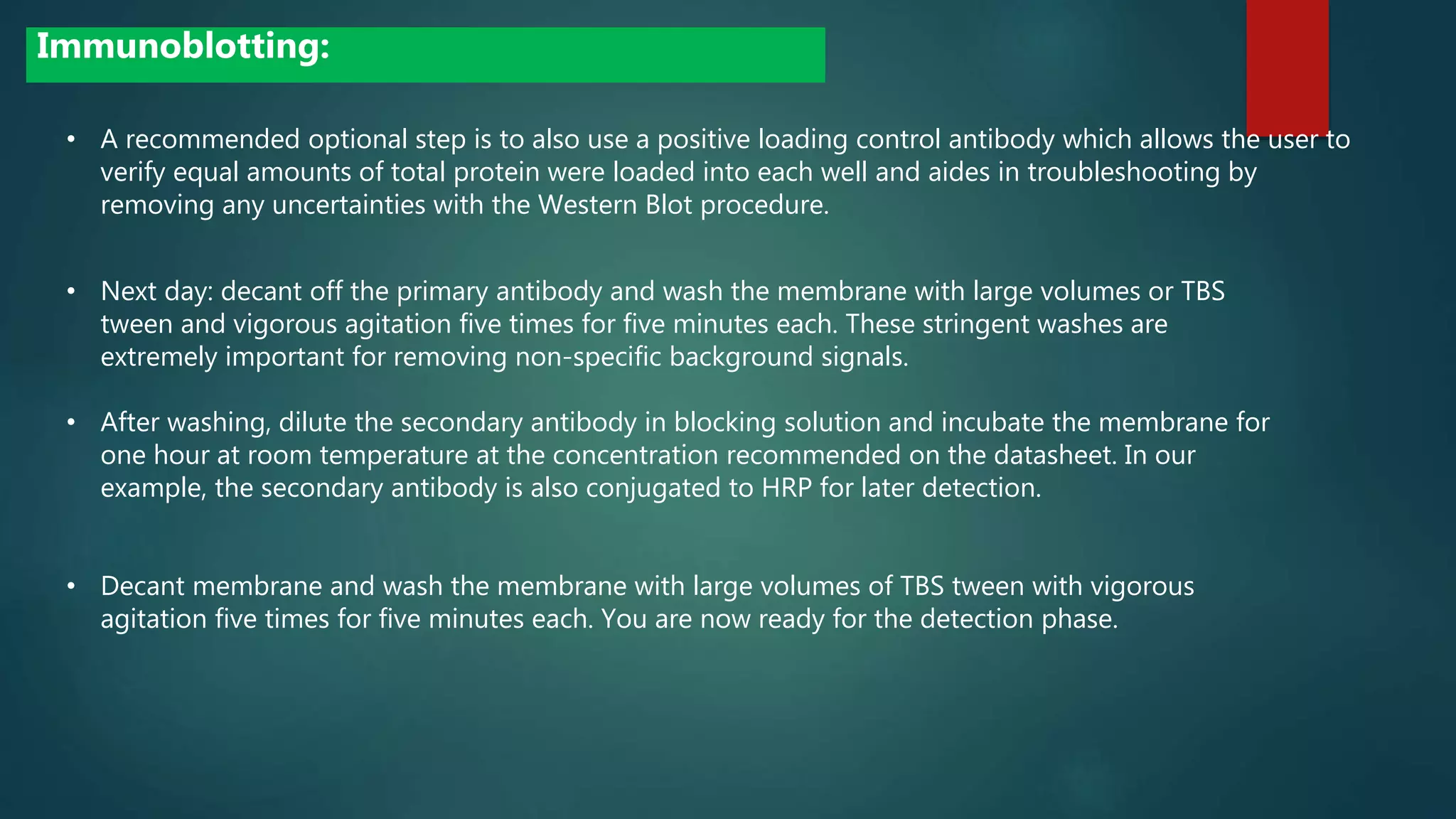 Western blot principles [day1) | PPTX