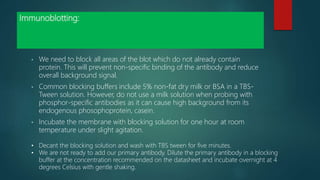 Western blot principles [day1) | PPTX