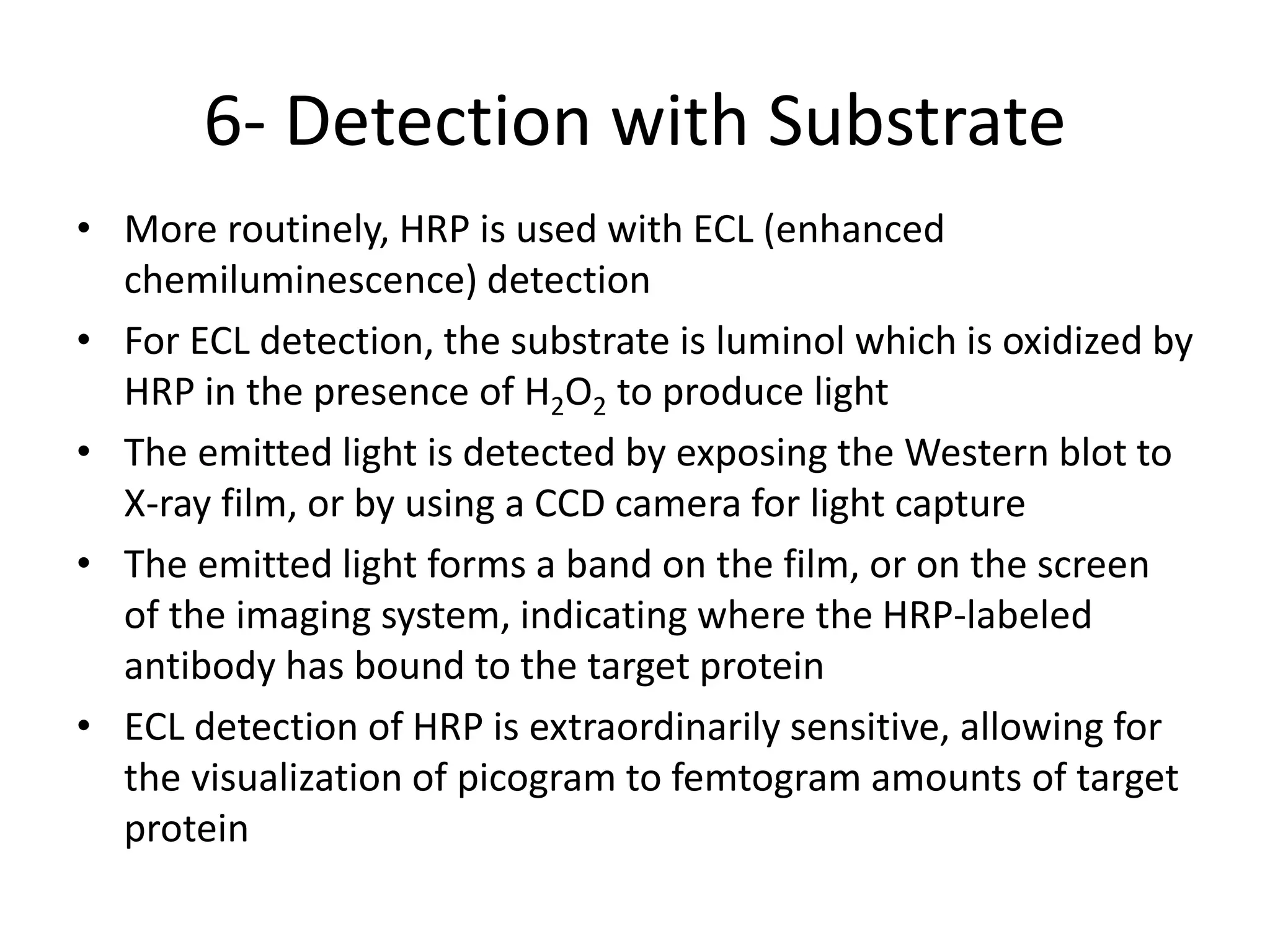 Western blotting | PPTX