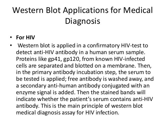 Western blot test hsv - readyLasi