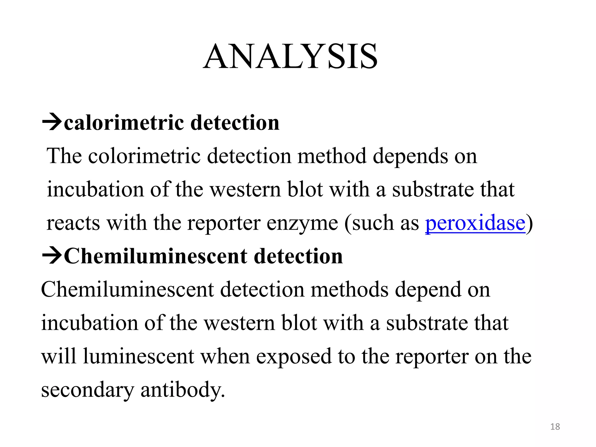 Western Blotting Technique | PPTX