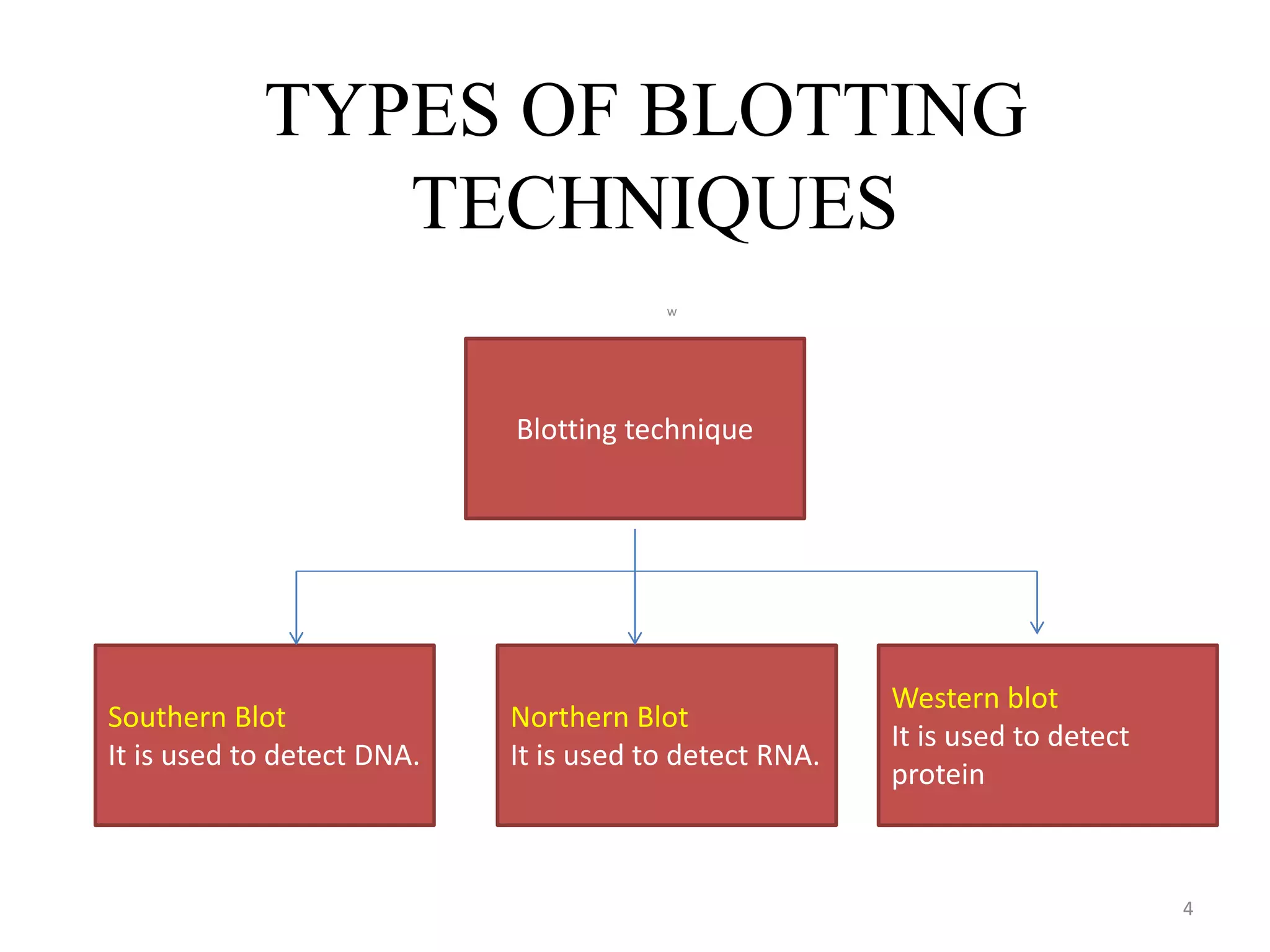 Western Blotting Technique | PPTX