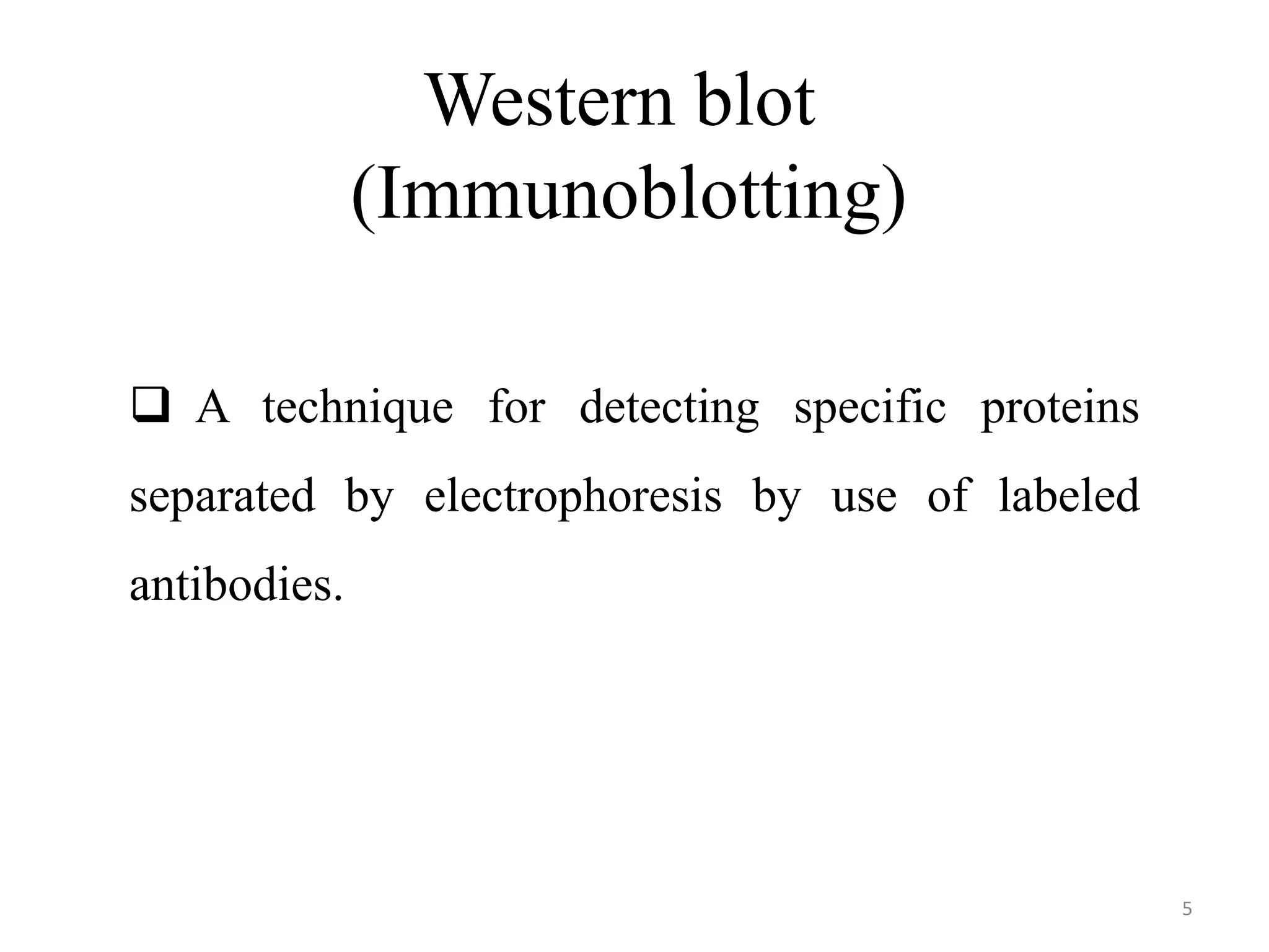 Western Blotting Technique | PPTX
