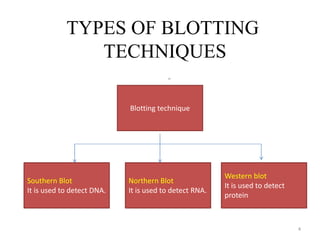 Western Blotting Technique | PPTX