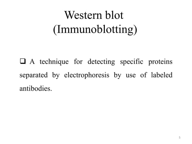 Western Blotting Technique | PPTX | Chemistry | Science