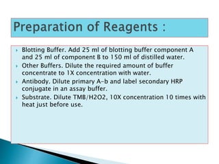 WESTERN BLOTTING.pptx