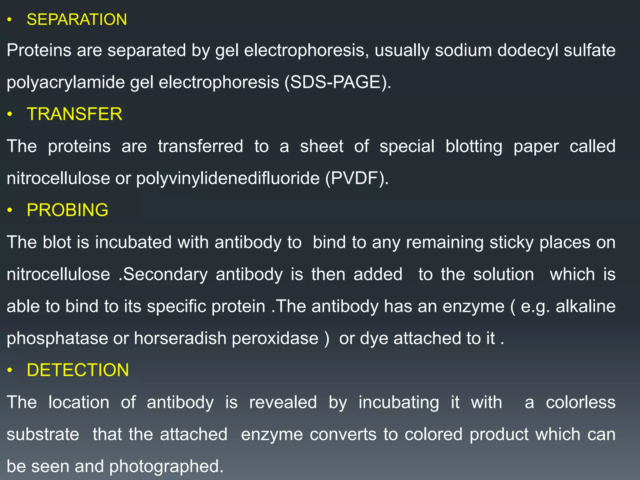 WESTERN BLOTTING.pptx