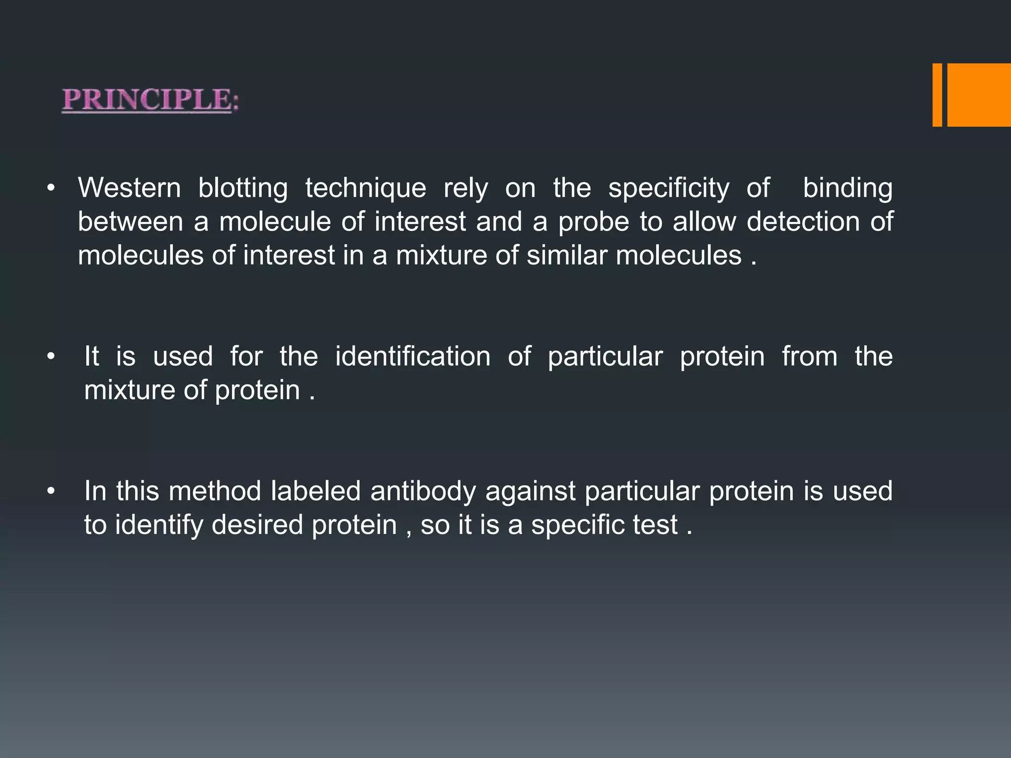 WESTERN BLOTTING.pptx