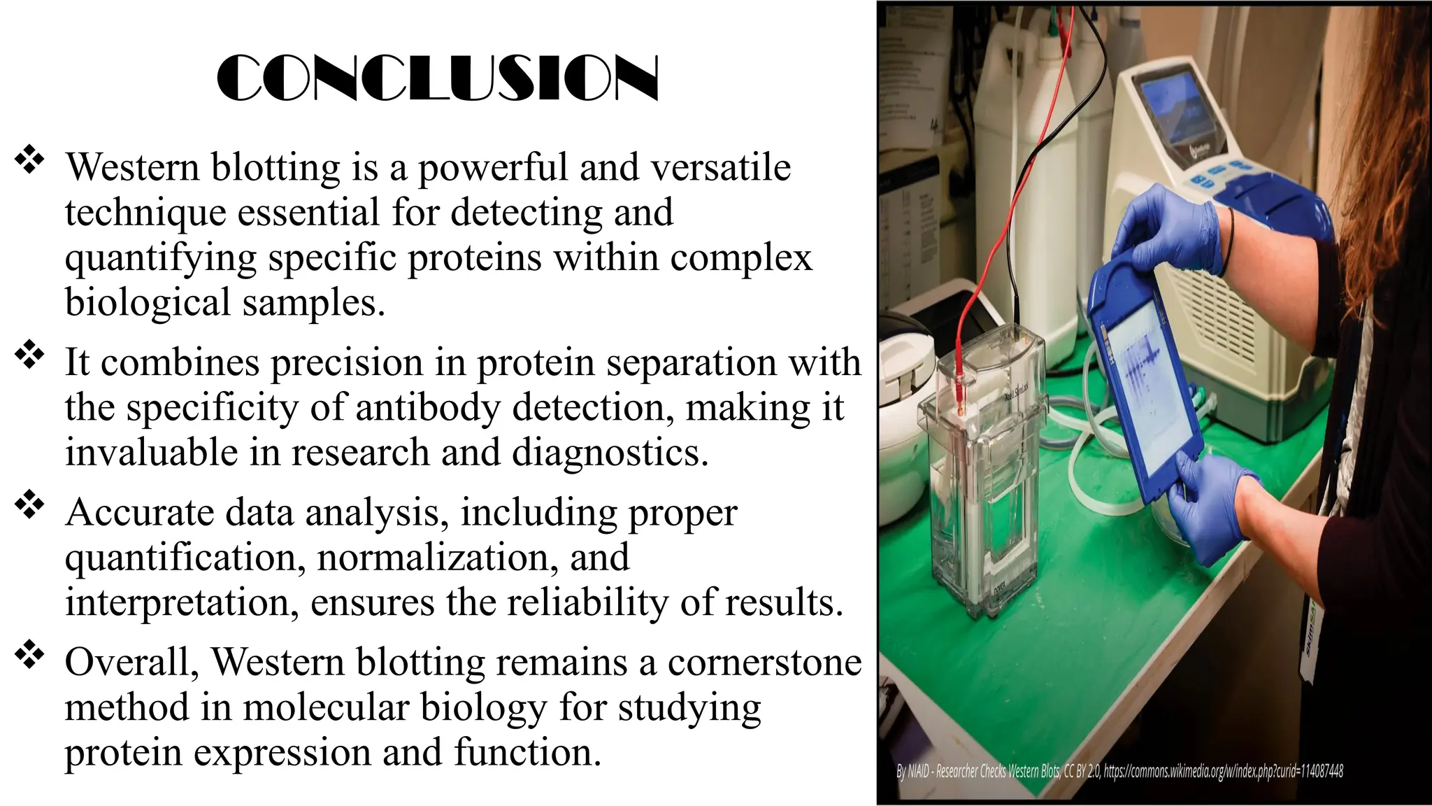 WESTERN BLOTTING - immunology and immunotechnology | PPTX