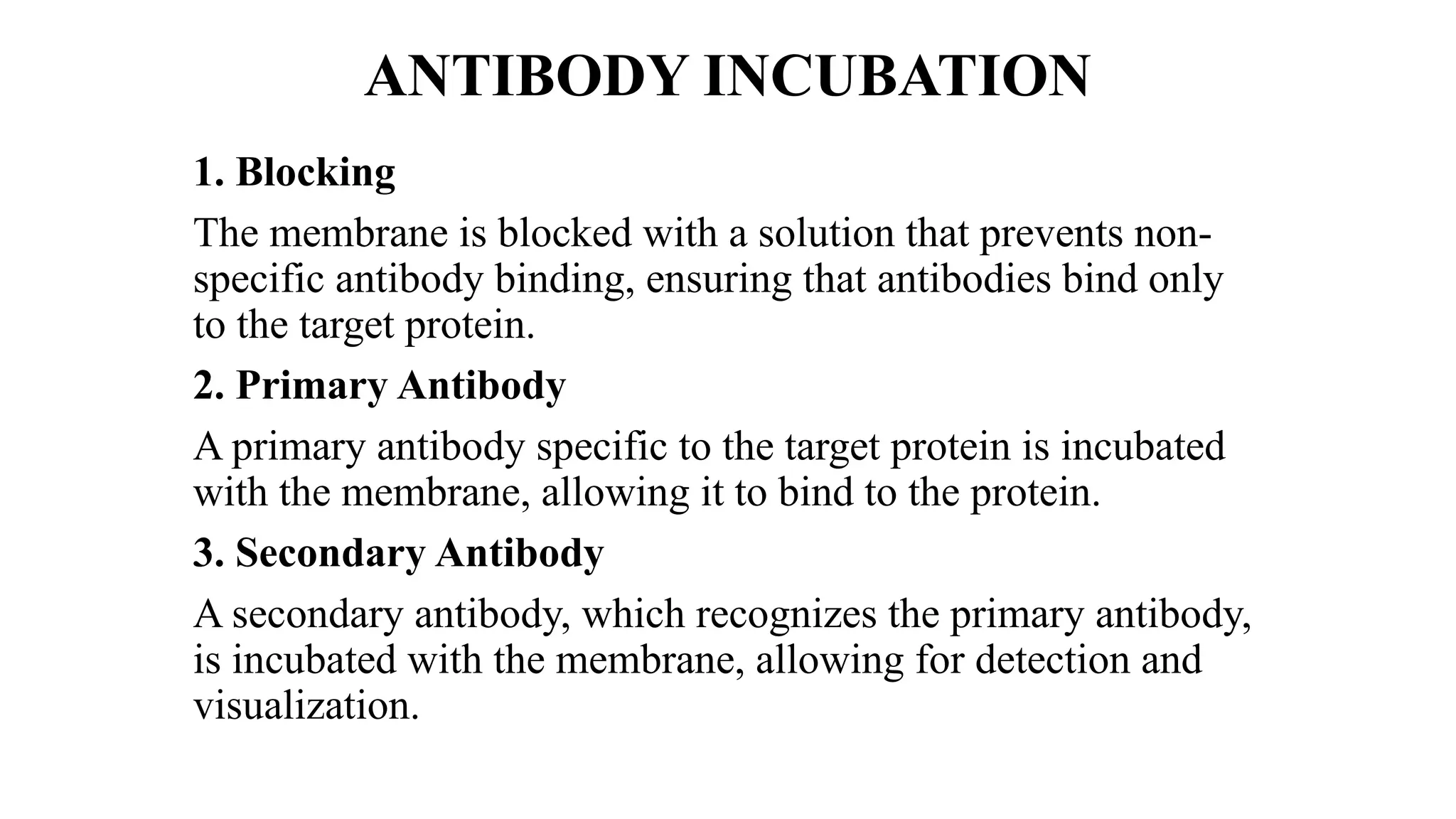 WESTERN BLOTTING - immunology and immunotechnology | PPTX