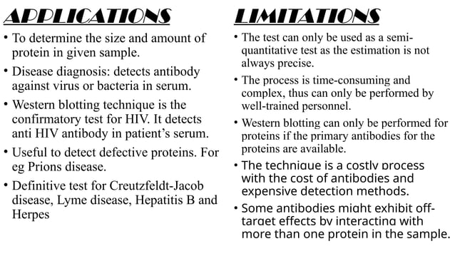 WESTERN BLOTTING - immunology and immunotechnology | PPTX