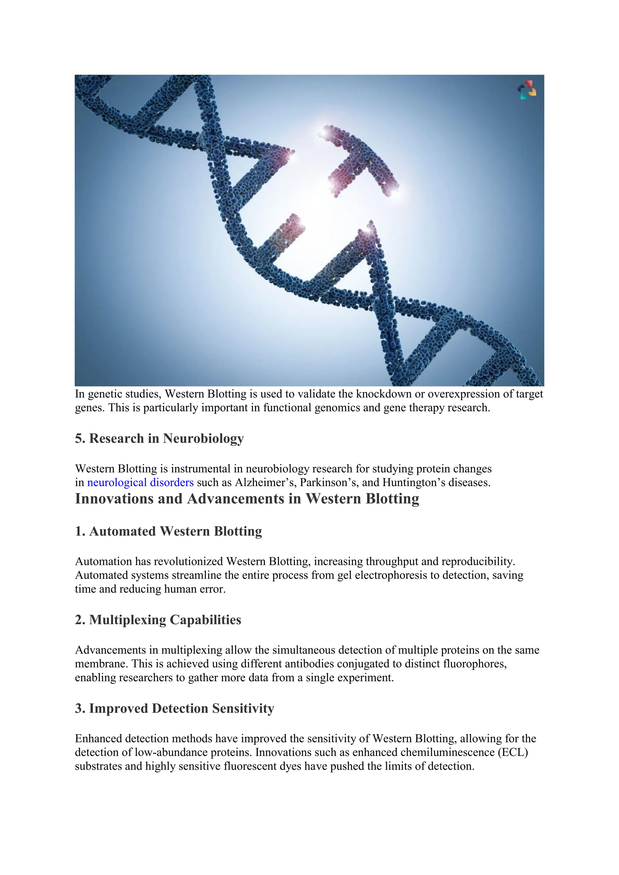 Western Blotting: Techniques, Applications, and Innovations | The ...