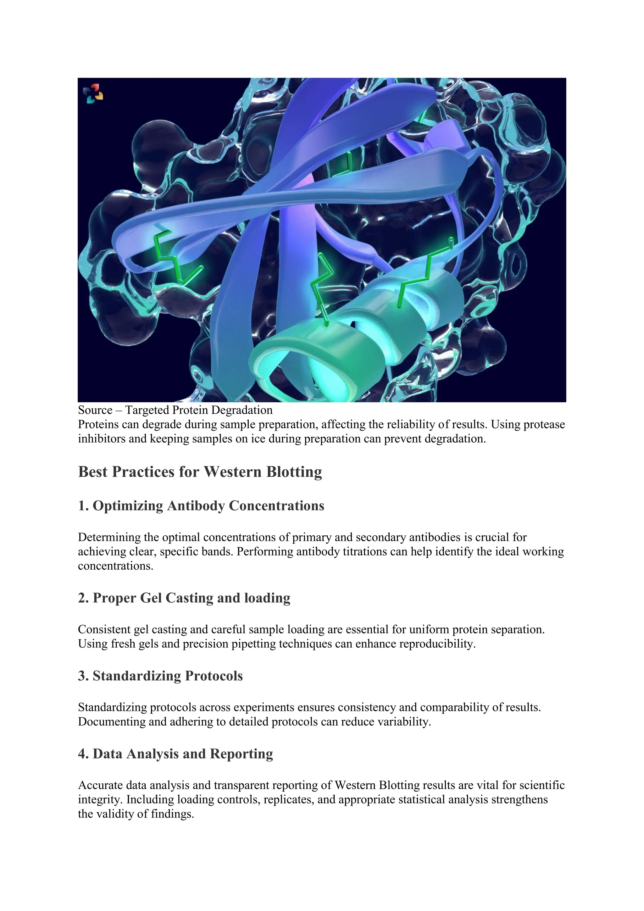 Western Blotting: Techniques, Applications, and Innovations | The ...