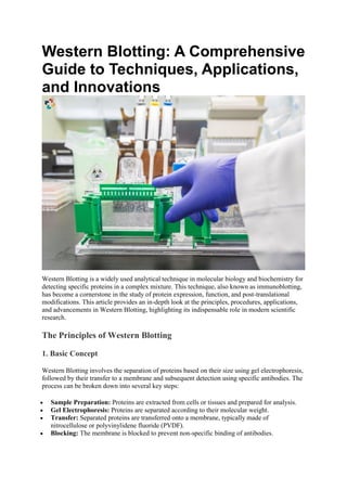 Western Blotting: Techniques, Applications, and Innovations | The ...