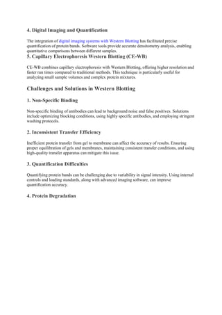 Western Blotting: Techniques, Applications, and Innovations | The Lifesciences Magazine | PDF