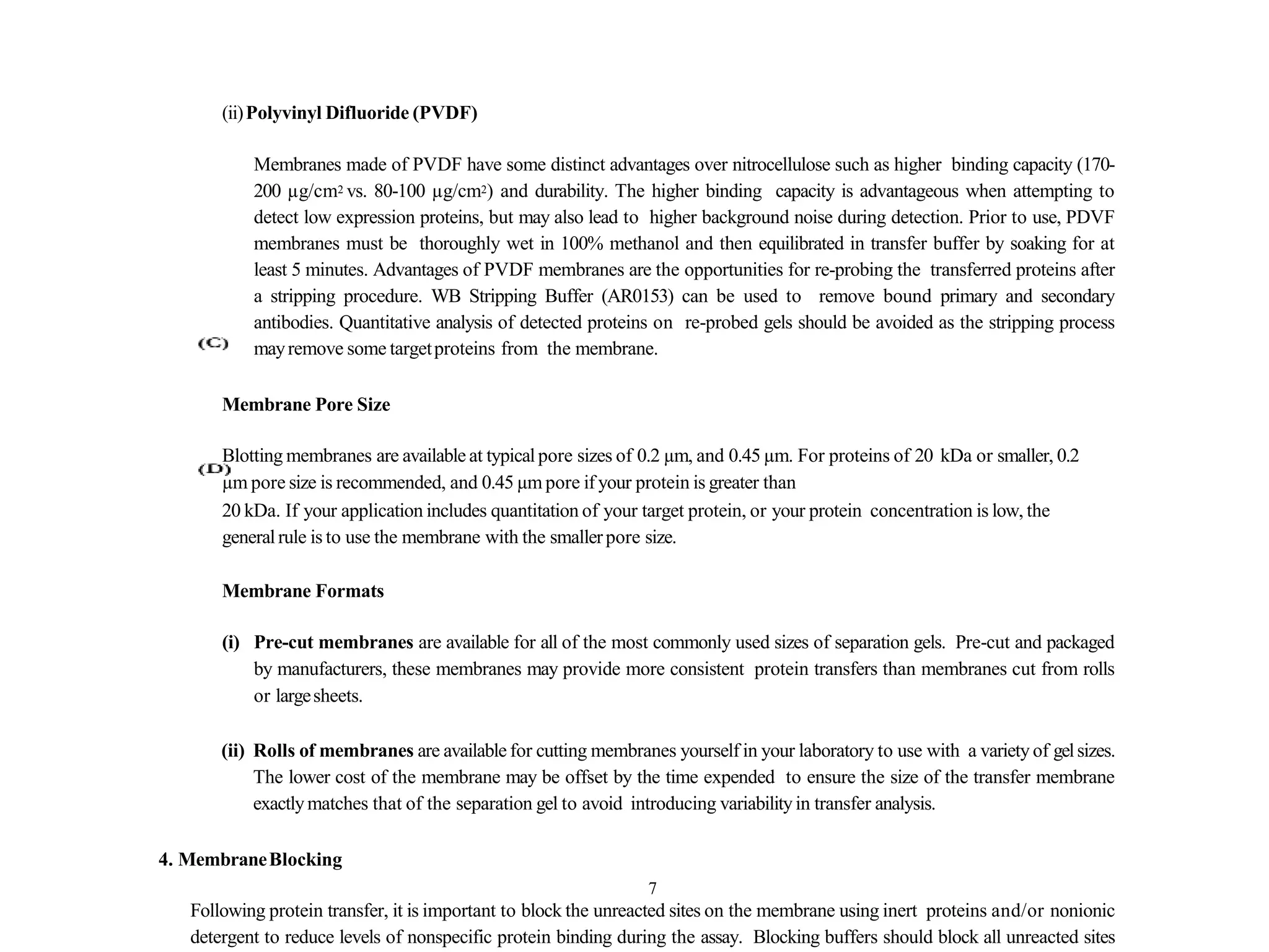 Western blotting principle | PPTX
