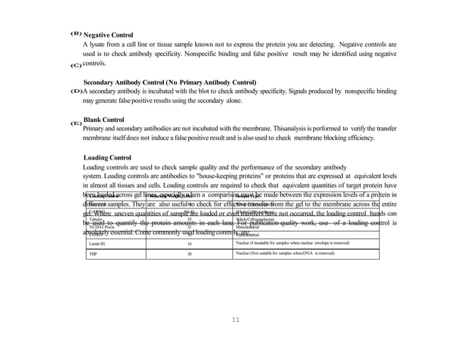 Western blotting principle | PPTX