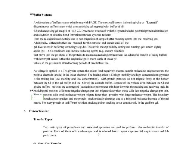 Western blotting principle | PPTX