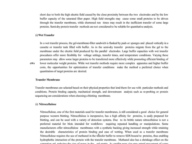 Western blotting principle | PPTX
