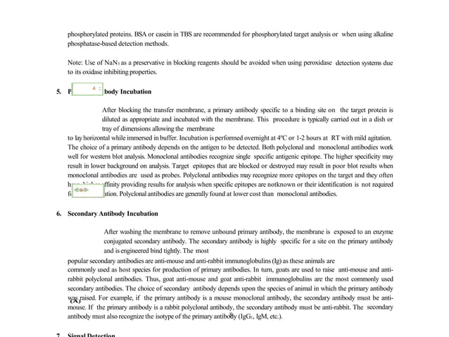 Western blotting principle | PPTX