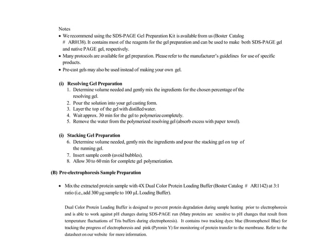 Western Blotting Protocol & Troubleshooting | PPT