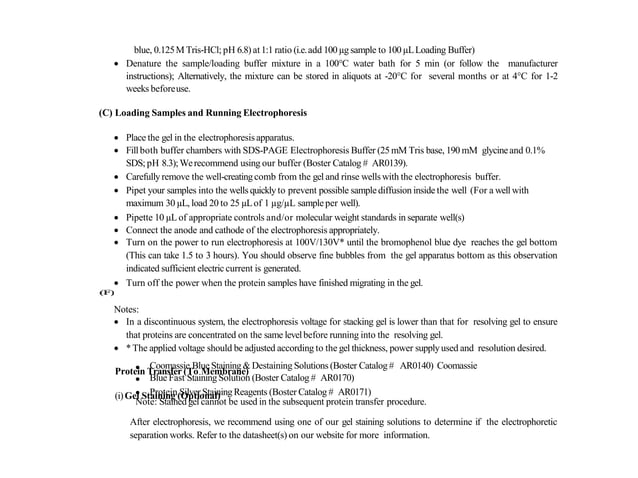Western Blotting Protocol & Troubleshooting | PPT
