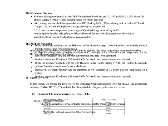 Western Blotting Protocol & Troubleshooting | PPT