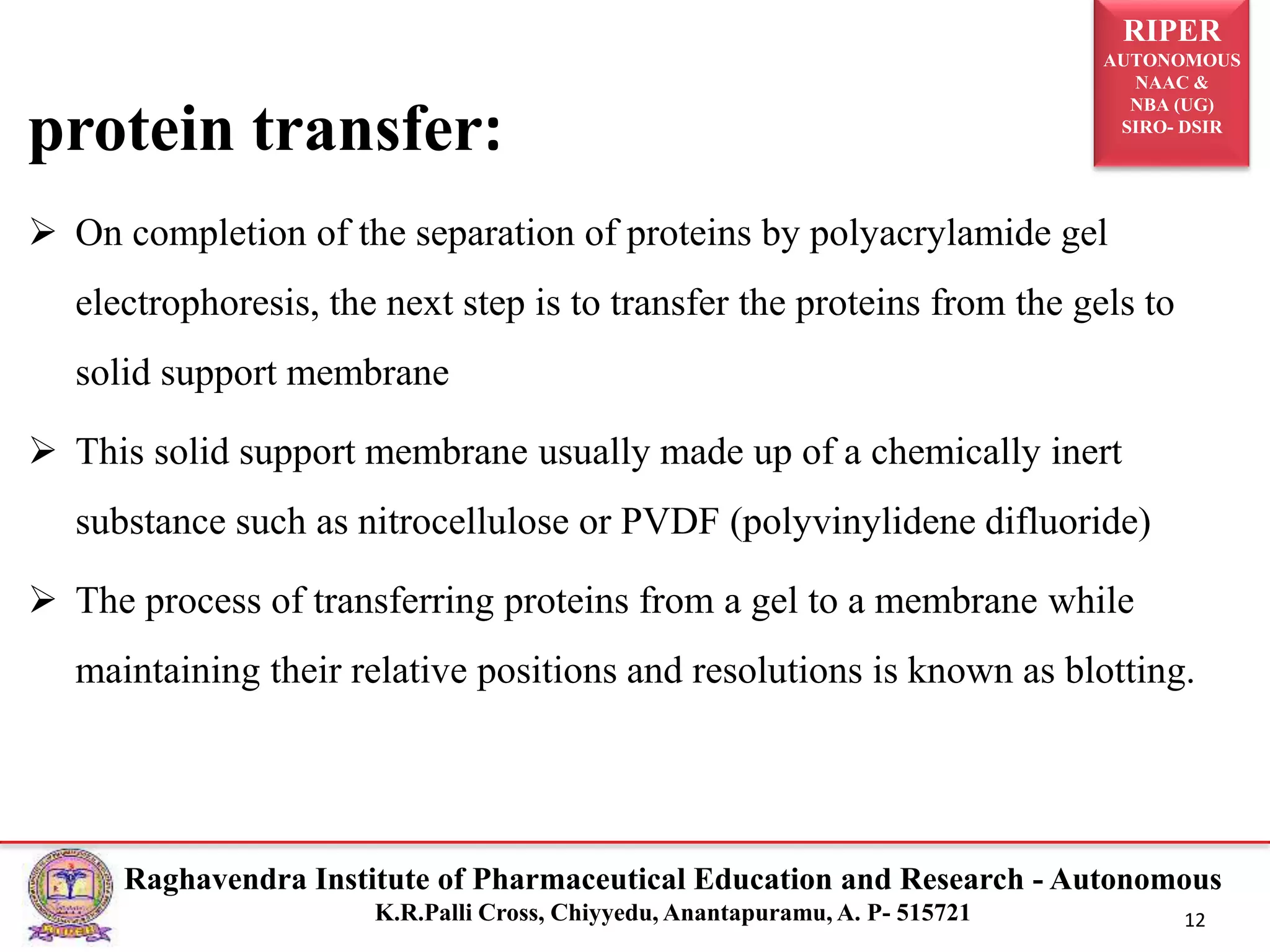 Western Blotting Technique. | PPTX