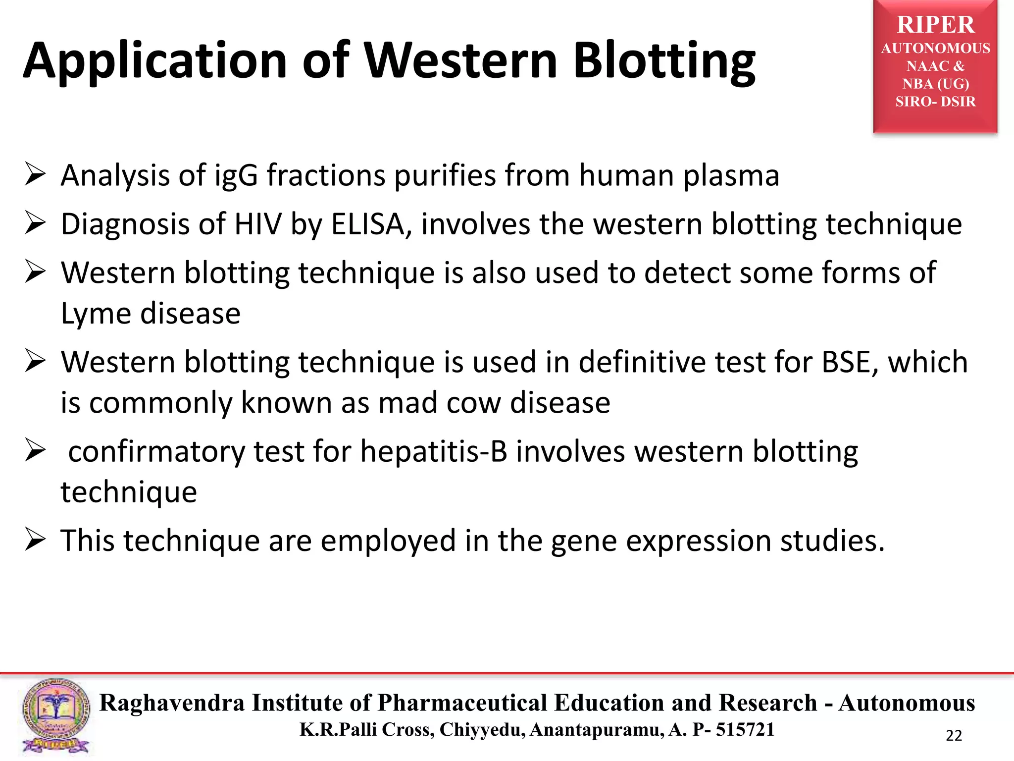Western Blotting Technique. | PPTX