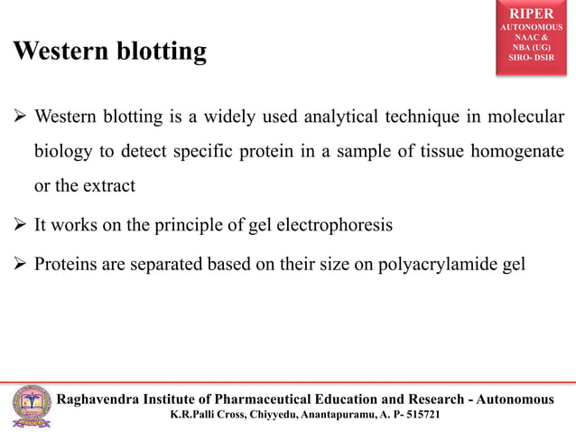 Western Blotting Technique. | PPTX | Chemistry | Science