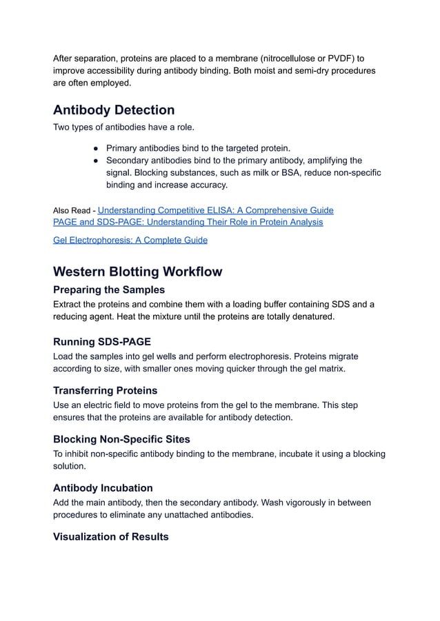 Western Blotting Technique_ A Comprehensive Guide.pdf