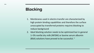 western blot upd.pptx