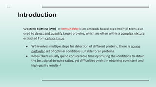 western blot upd.pptx