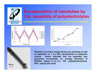Western Coating Symp10 09 [Compatibility Mode] | PDF