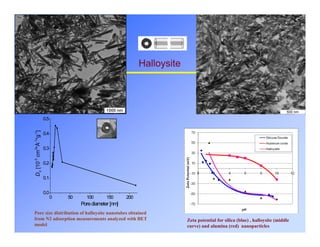 Western Coating Symp10 09 [Compatibility Mode] | PPT