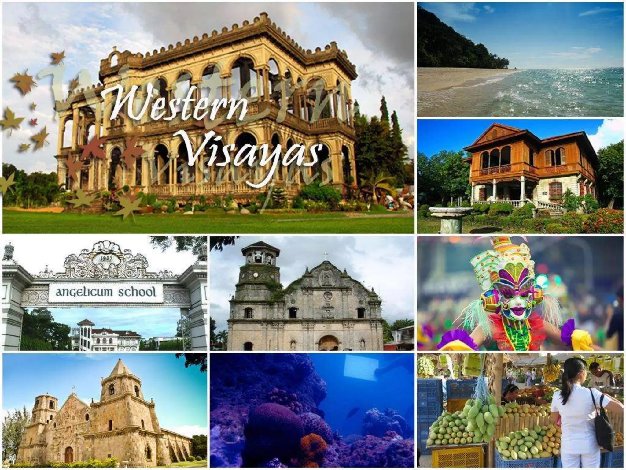 Region 5: Wesern Visayas | PPTX