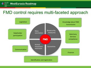 Regional FMD management support – functions and proposals | PPT