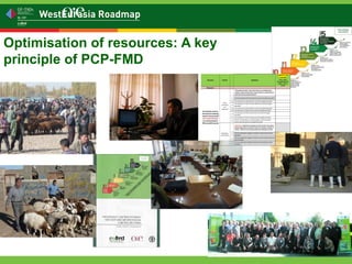 Regional FMD management support – functions and proposals | PPT