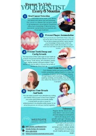 Reason To Visit Your Dentist Every 6 Months | PDF
