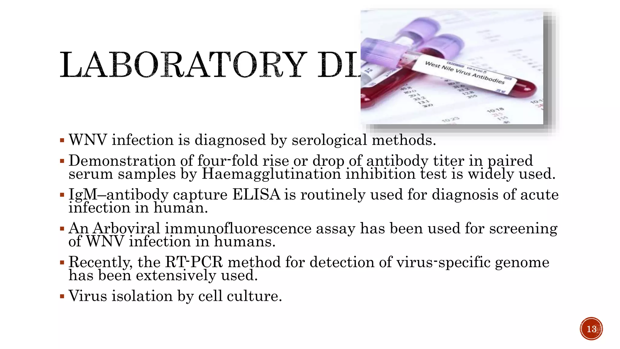 West Nile Fever | PPTX
