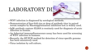 West Nile Fever | PPTX