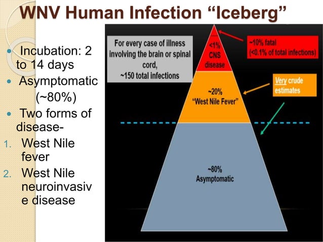 West nile virus | PPTX