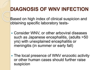 West nile virus | PPTX