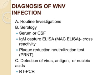 West nile virus | PPTX