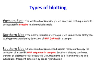 Westren and Northern blotting | PPTX