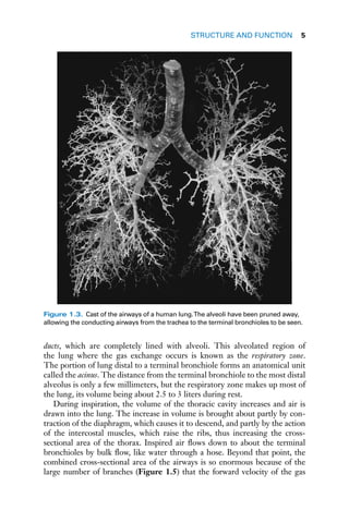 MWEBAZA VICTOR - West's Respiratory Physiology The Essentials 10th ...